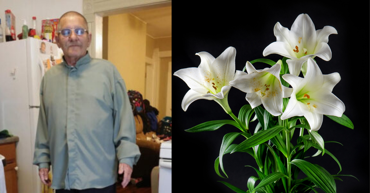 David Killips, Racine family man, dies at 78