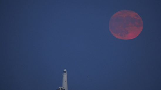 Strawberry moon to rise tonight: Where and when to watch in India