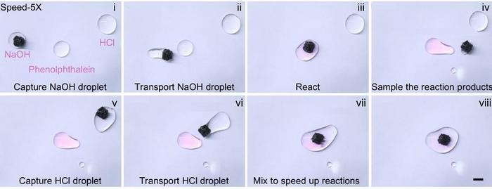Microrobot for Advanced Droplet Manipulation