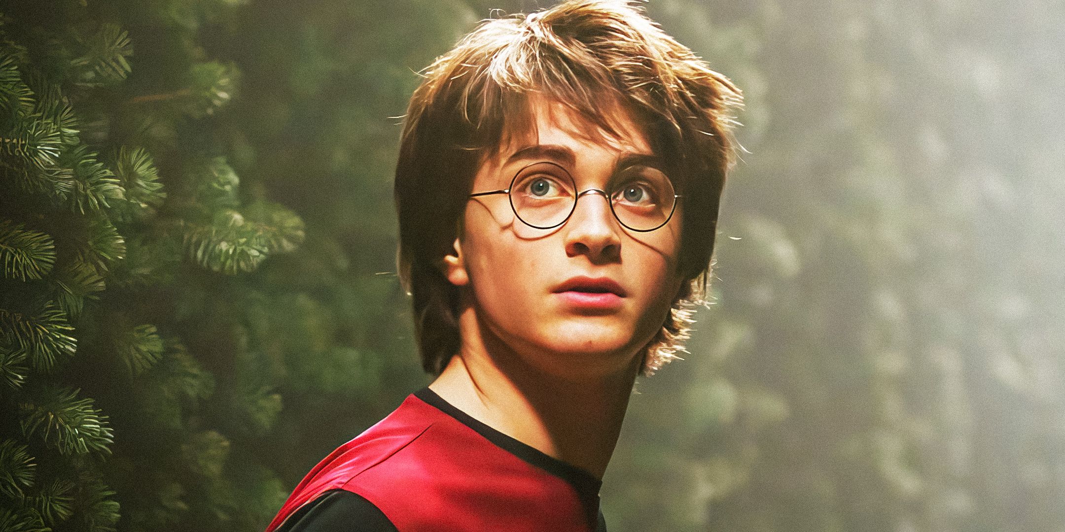 This 2024 Blockbuster Showed Us Exactly Who Should Play Harry Potter's ...