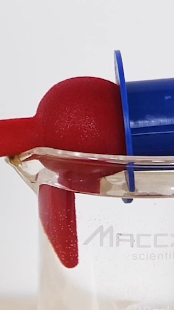 The drinking bird drinks faster 🐦