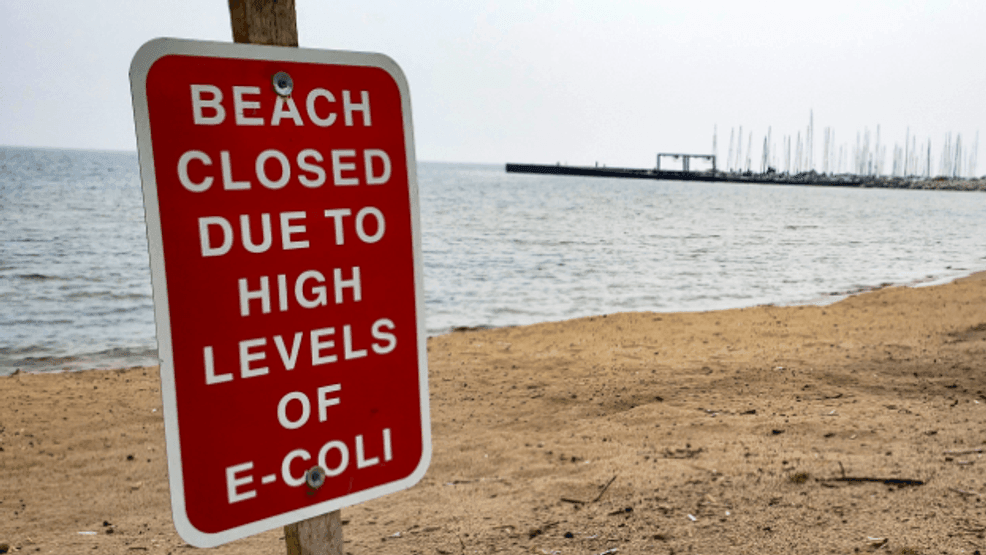 E. coli prompts no body contact advisory at 4 Mile Beach in Sault Ste ...