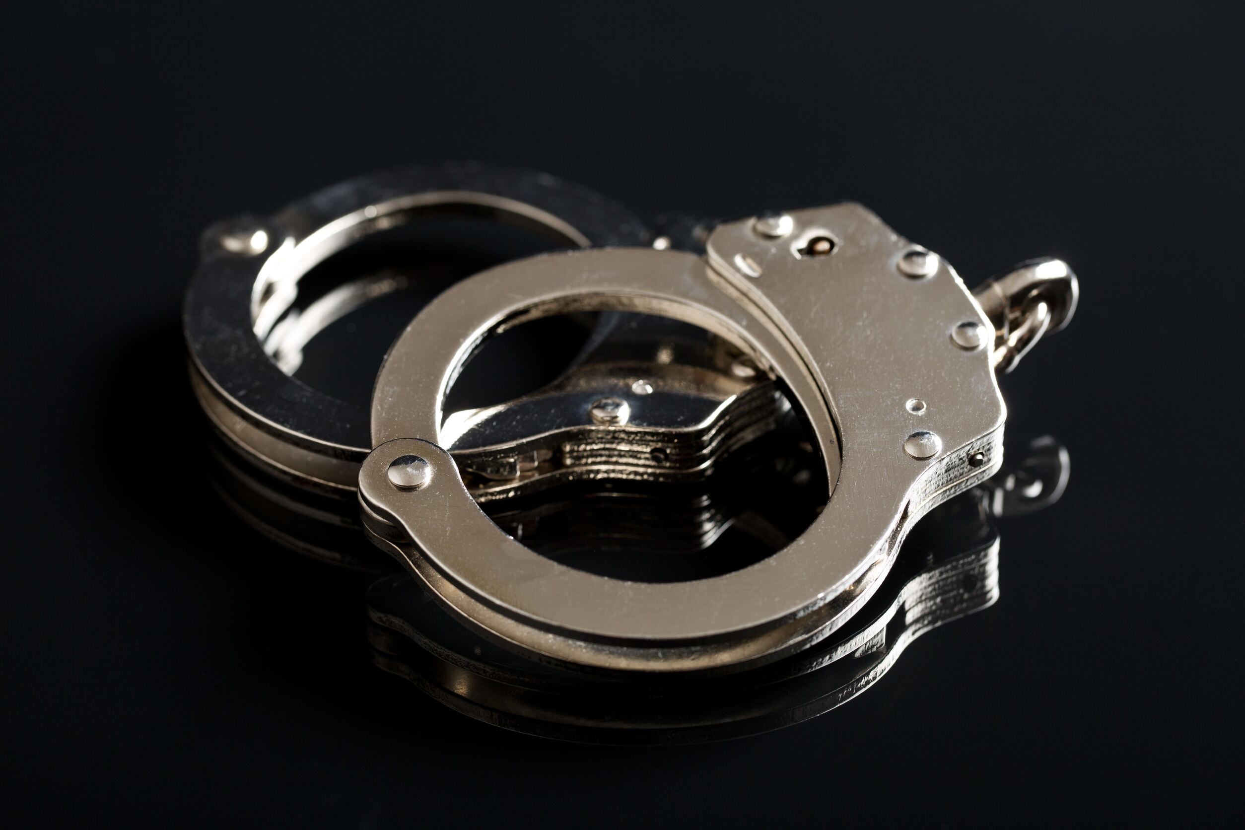 Dodge Co. officials: Alleged drunk driver arrested after killing horse ...