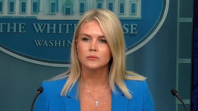 Karoline Leavitt calls reporter's parade question 'stupid'