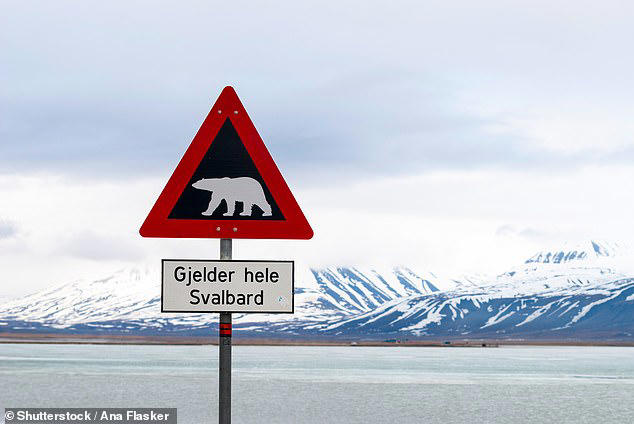 Europe's most misunderstood road signs