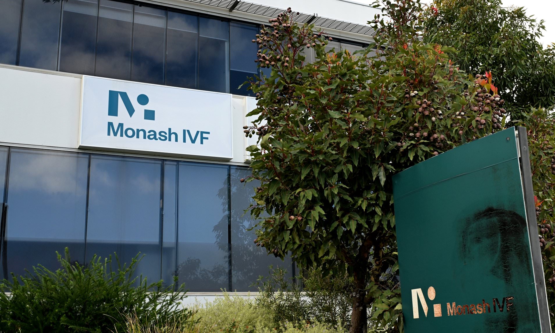 Monash IVF CEO resigns after fertility giant admitted to two embryo ...