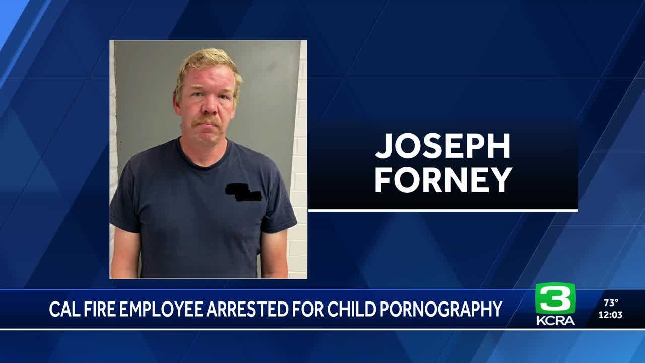 Cal Fire employee arraigned on charges related to distributing child ...