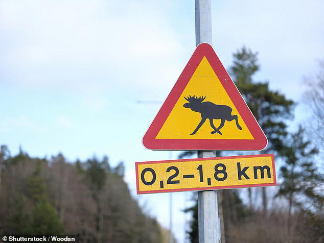 Europe's most misunderstood road signs