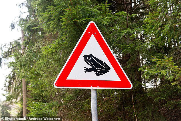 Europe's most misunderstood road signs