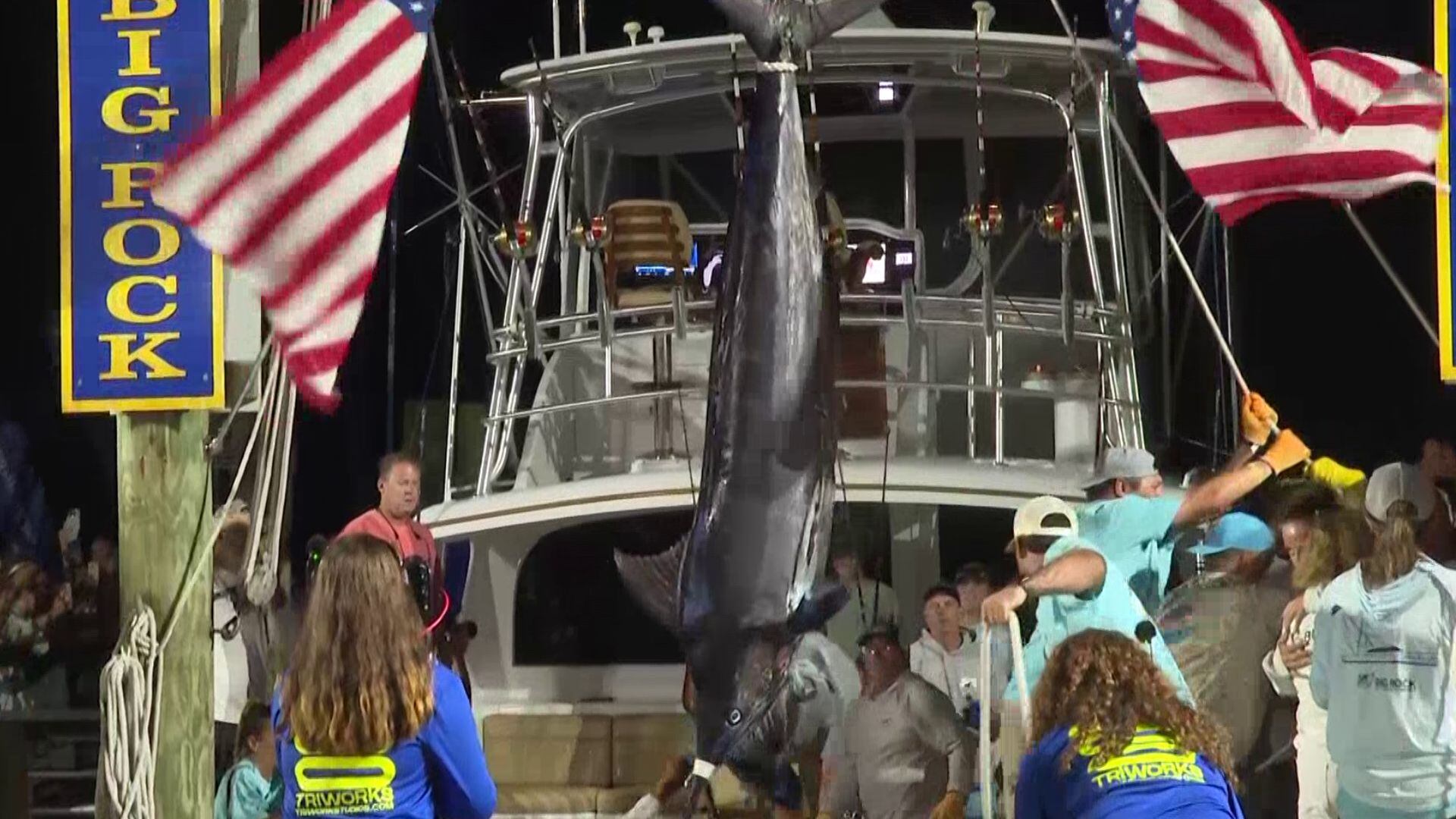 Big Rock Day 4: ‘Demolished Profits’ releases blue marlin, ending day four