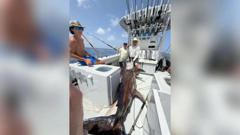 Fish tale: Louisiana man hauls in over 350 pound swordfish in the Gulf