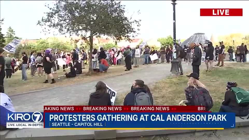 VIDEO: Protesters gathering at Cal Anderson Park