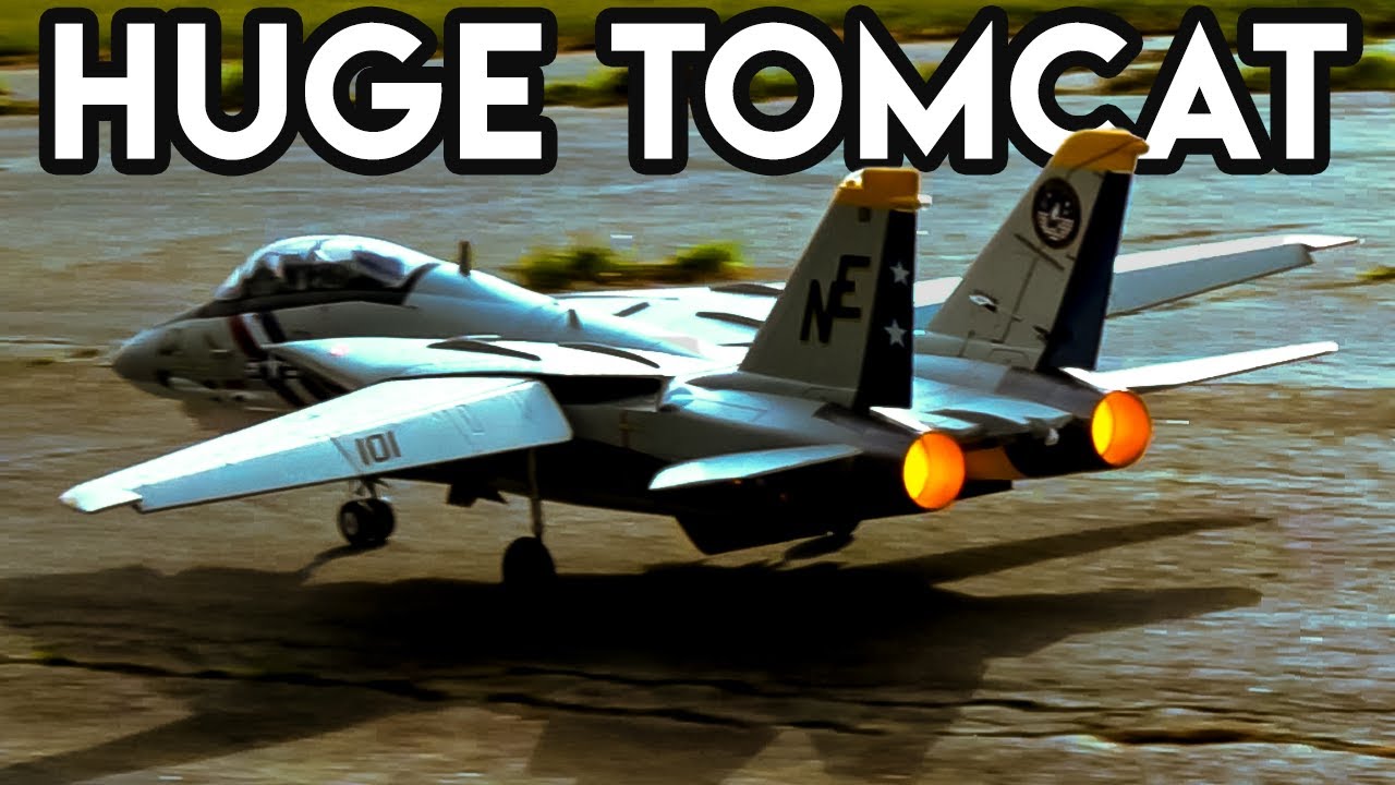 We Gave Our F-14 Tomcat Some Teeth (And More)