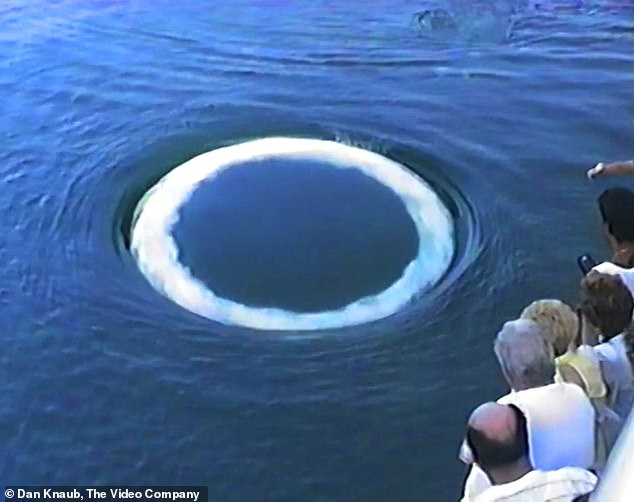 Scientists identify strange 'communication' of non-human intelligence ...