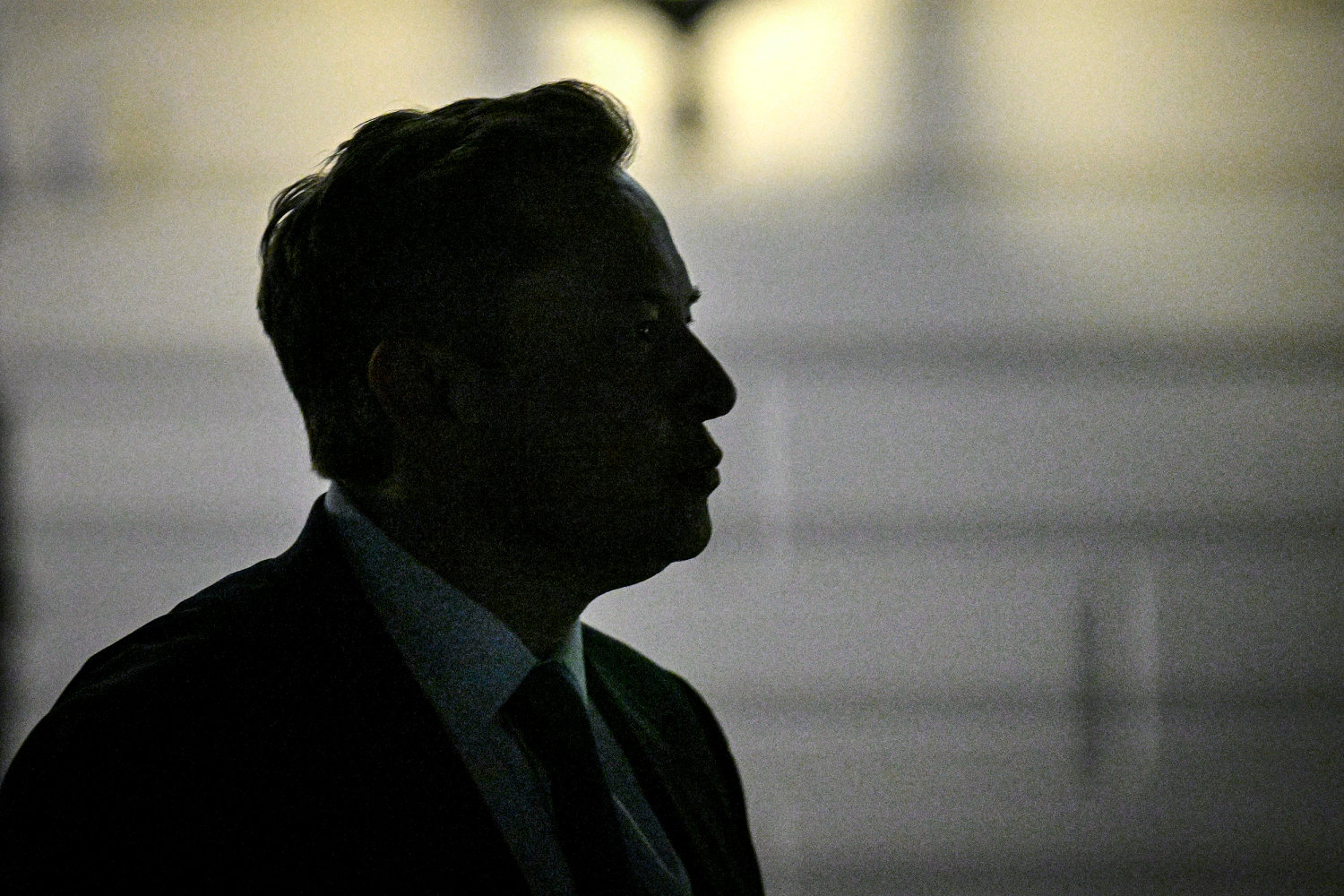 Wisconsin group sues Elon Musk, alleging million-dollar check giveaways ...