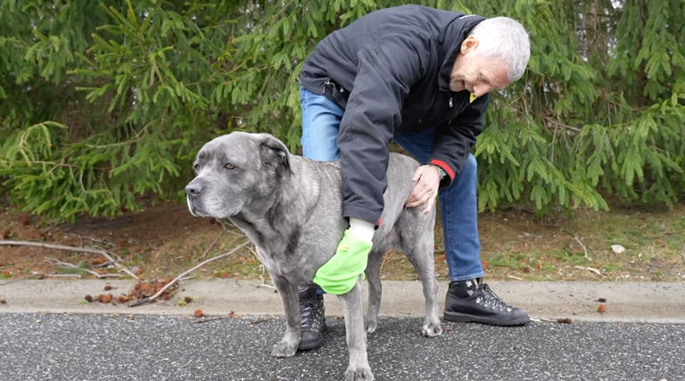 How a family health scare led to this revolutionary tick-removal mitt