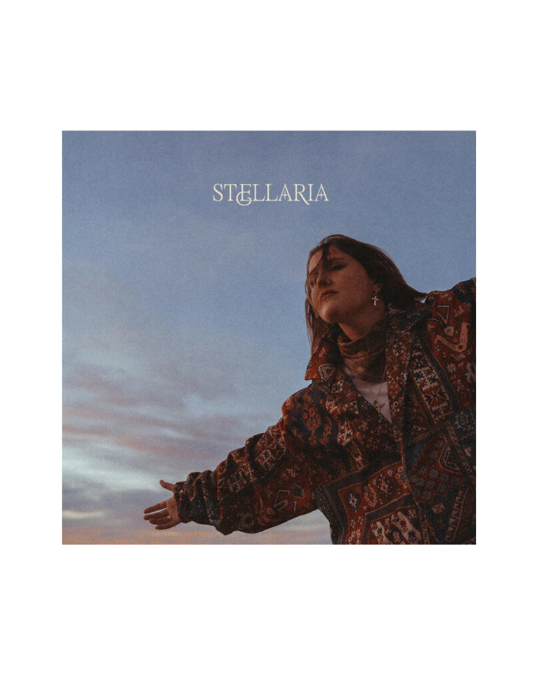 Birdman and Toni Braxton Celebrate Their First Wedding Anniversary