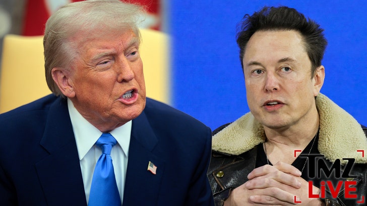Elon Musk Regrets 'Some' Tweets About Donald Trump