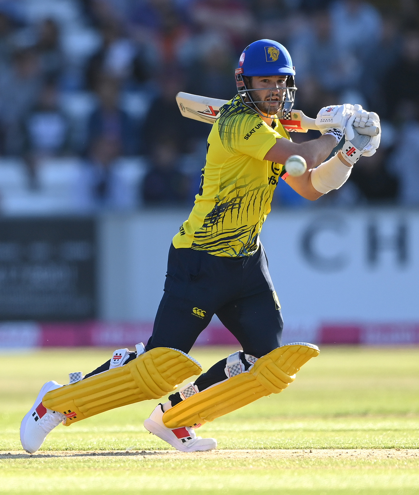 Ollie Robinson, Will Rhodes dismantle Sussex
