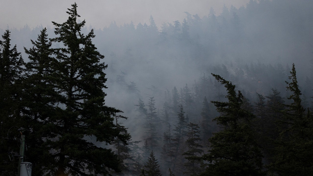 Air quality alert issued for central, southern MN for wildfire smoke ...