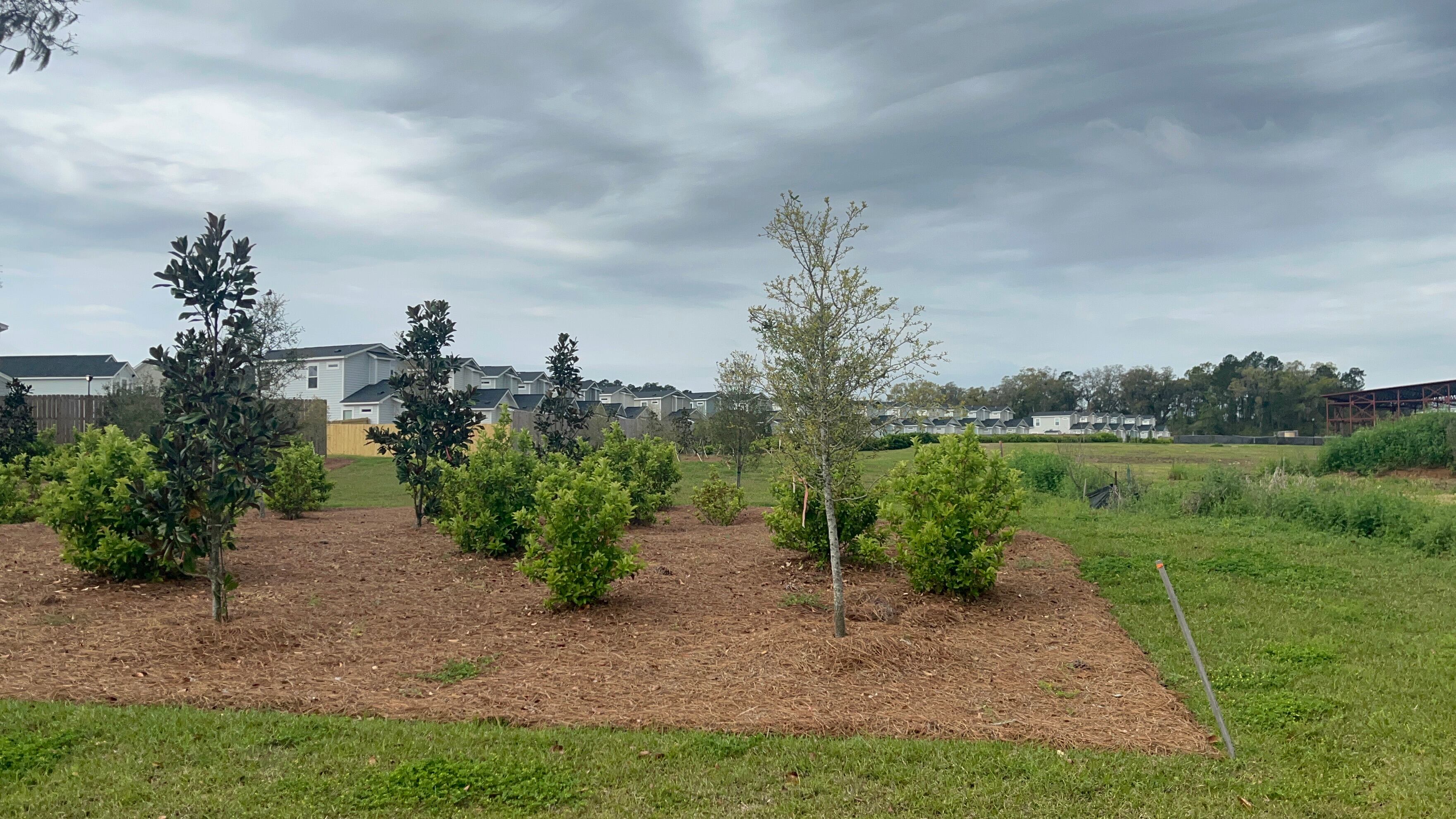 Tallahassee Commission backs off pursuing eminent domain in ...