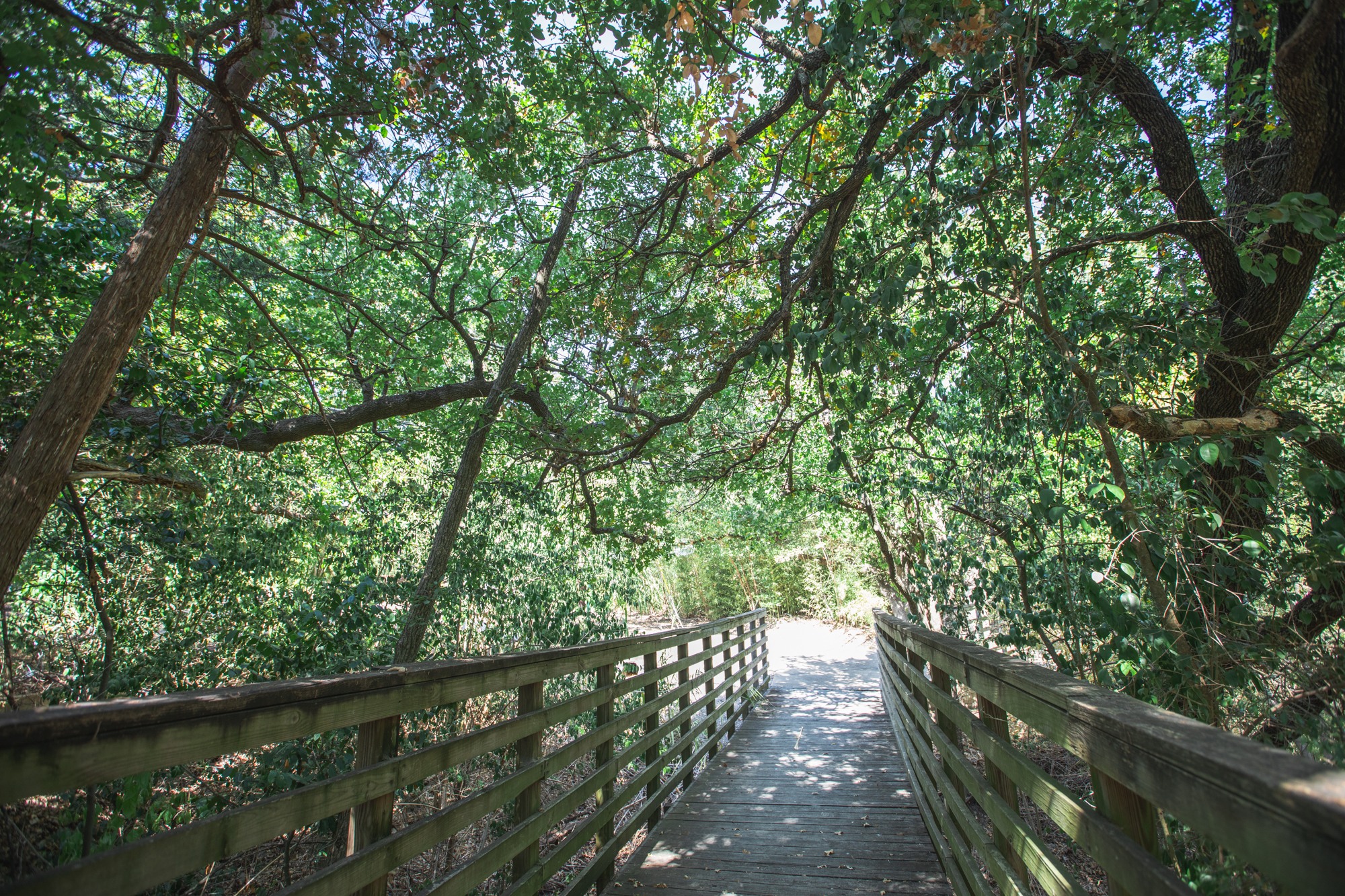 Cooling College Station