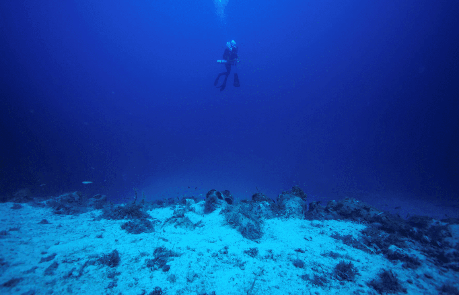 Ocean sediment reveals climate extremes and ecosystem upheaval from ...
