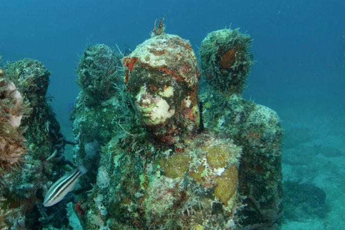 12 of the Most Beautiful Underwater Ocean Sights in the World