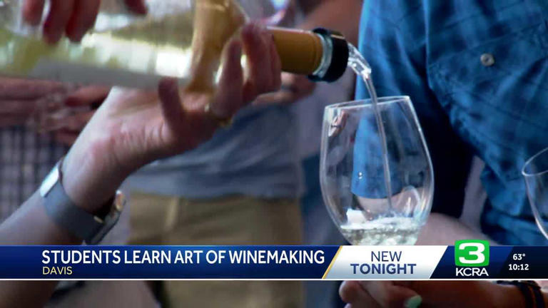 UC Davis launches small-batch wine label for the first time