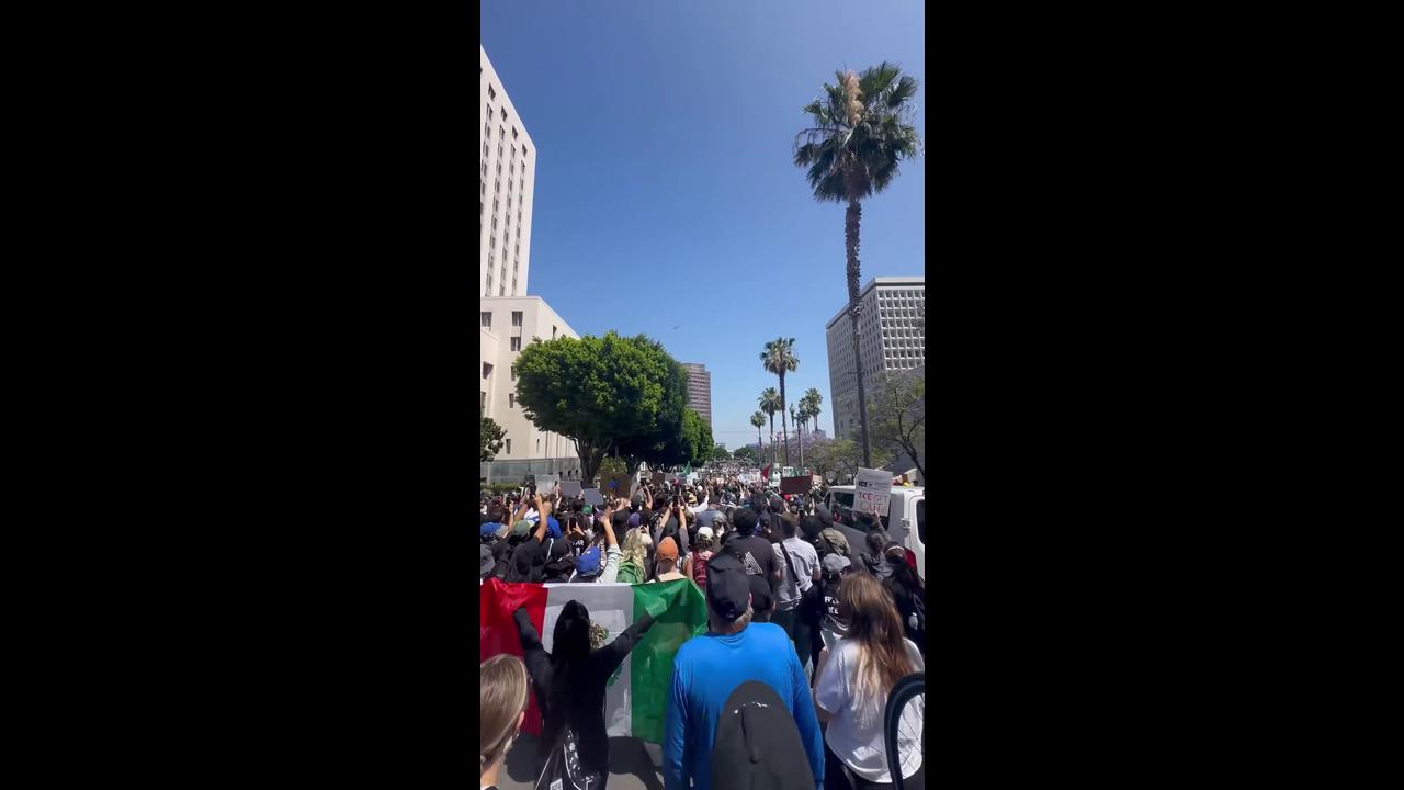 Liberals protest in LA amid left-wing anger at crime crackdown