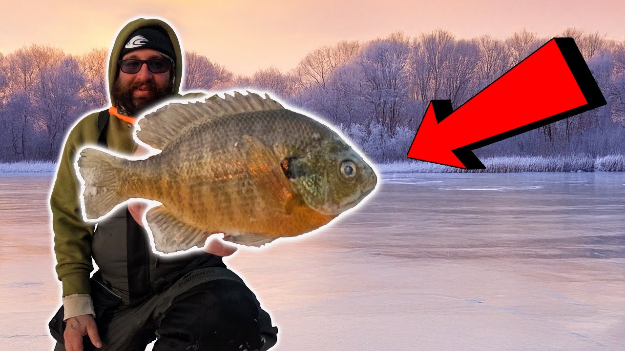 ICE FISHING for 3lb Bluegill!