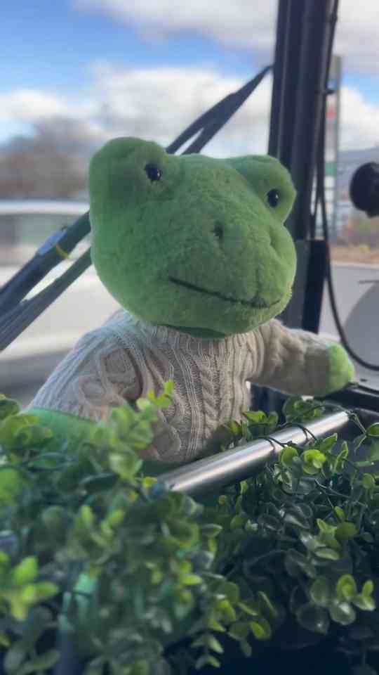 Meet the New Bus Mascot—Instant Icon Energy