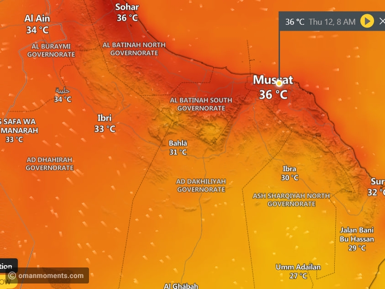Sunny and Hot: Muscat, Oman Weather June 12, 2025