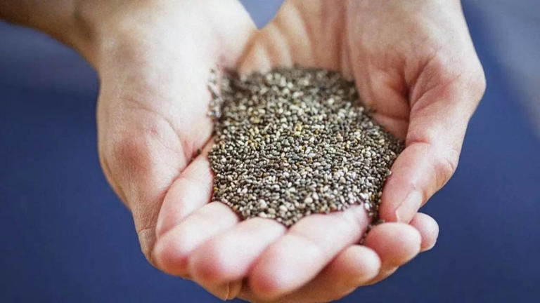 Are chia seeds safe for kids, seniors, and people with allergies?