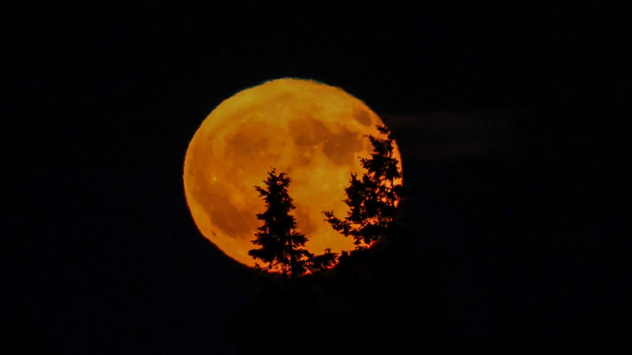 Tiefrot und riesengroß leuchtet der Erdbeermond über dem Landkreis ...