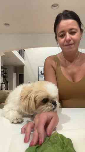 Lettuce? Absolutely Not — Says Stella