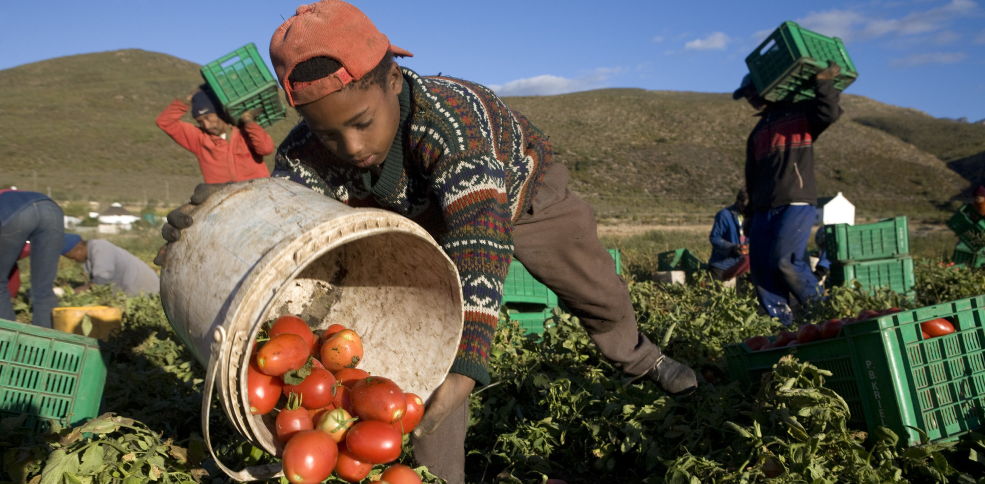 Child labor laws: legal working ages around the world