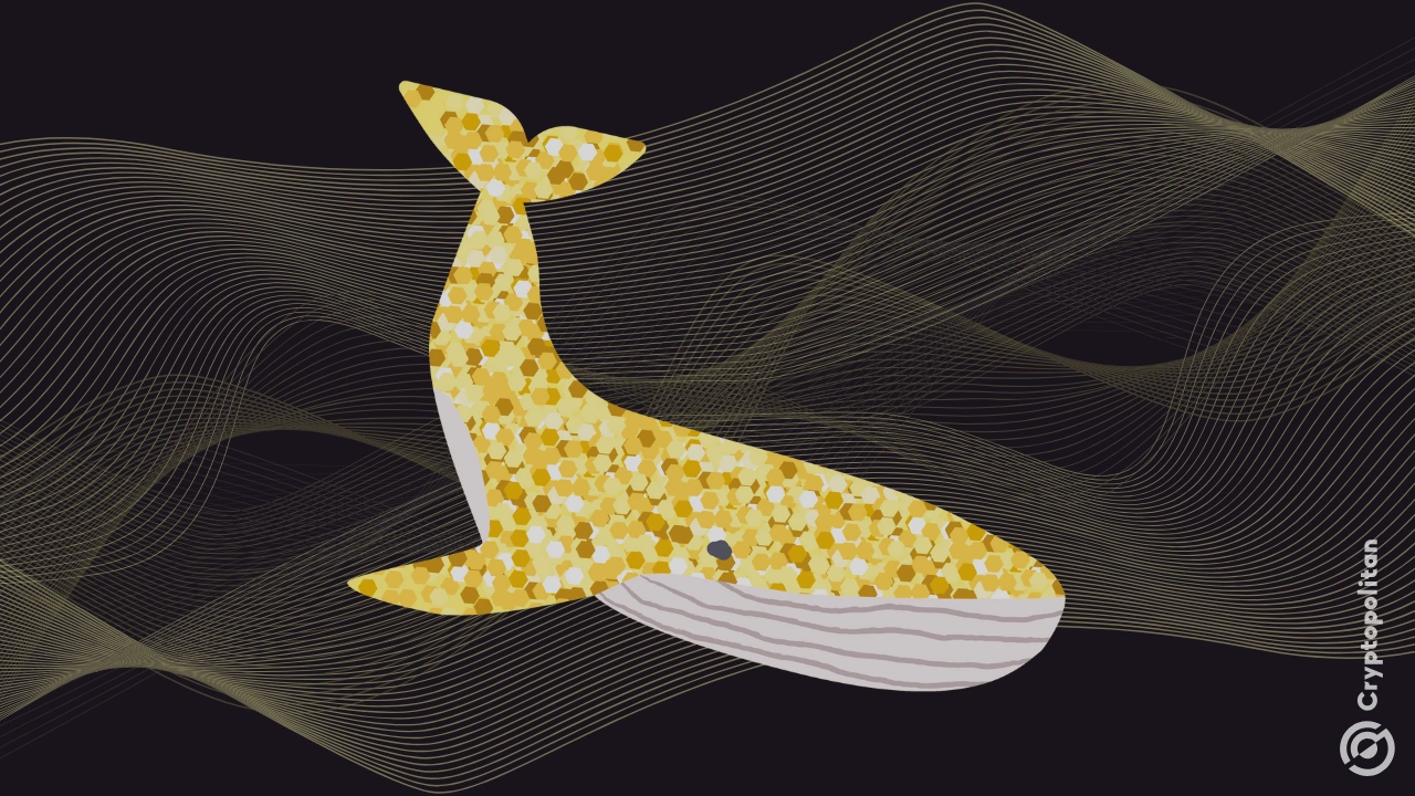 Whale buys 400M WLFI tokens with rumors of a DEX listing