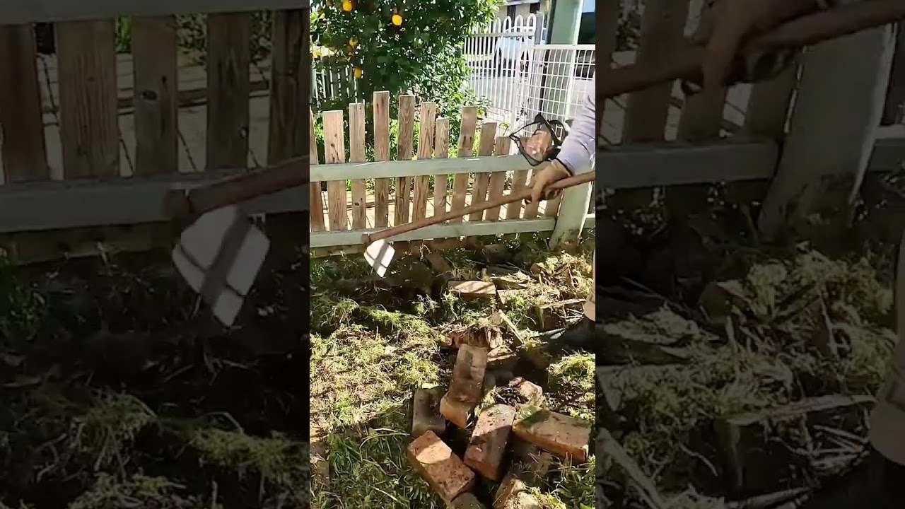 Taming A Chaotic Bed Of Grass!