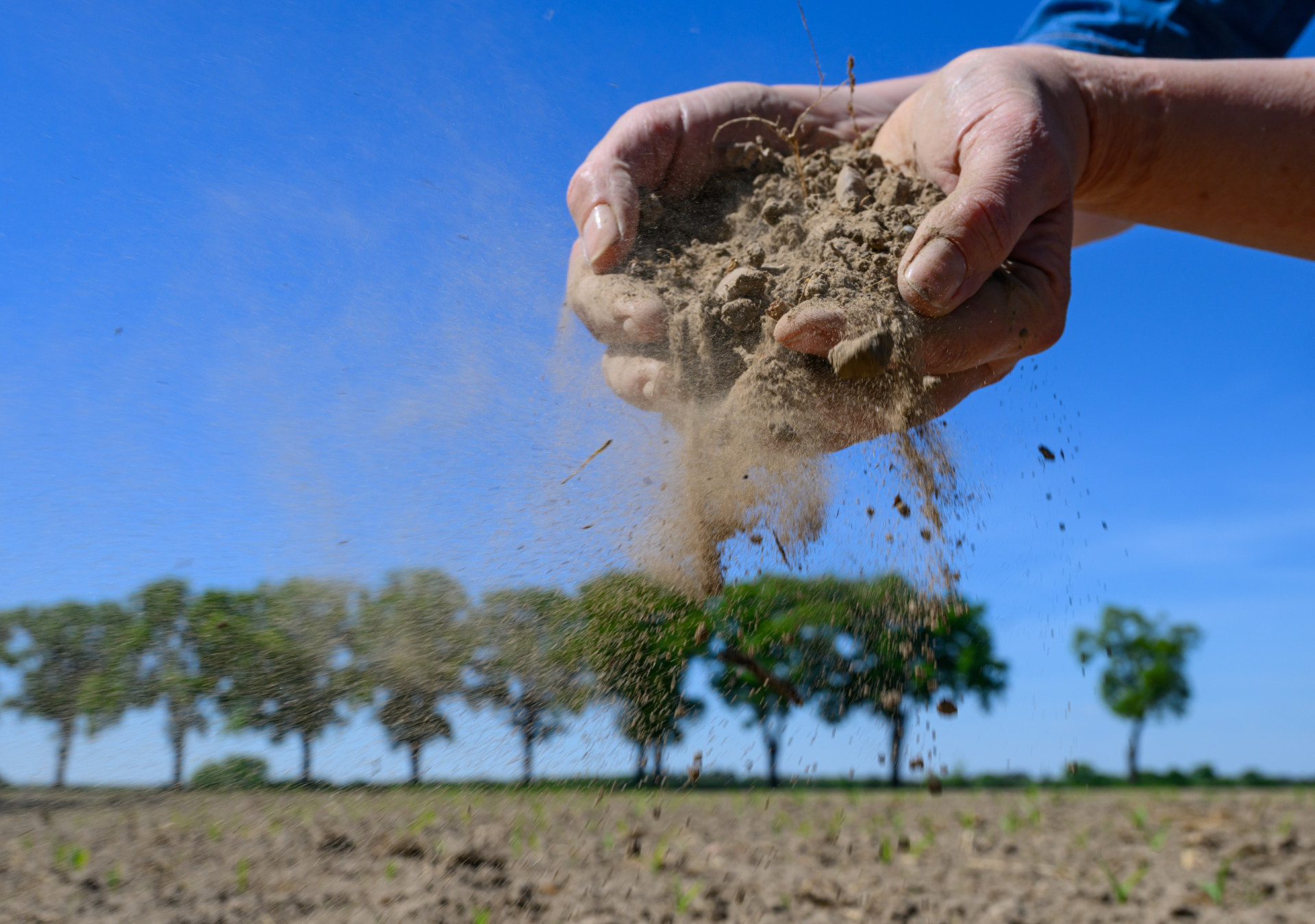 Why do some people and animals eat dirt?