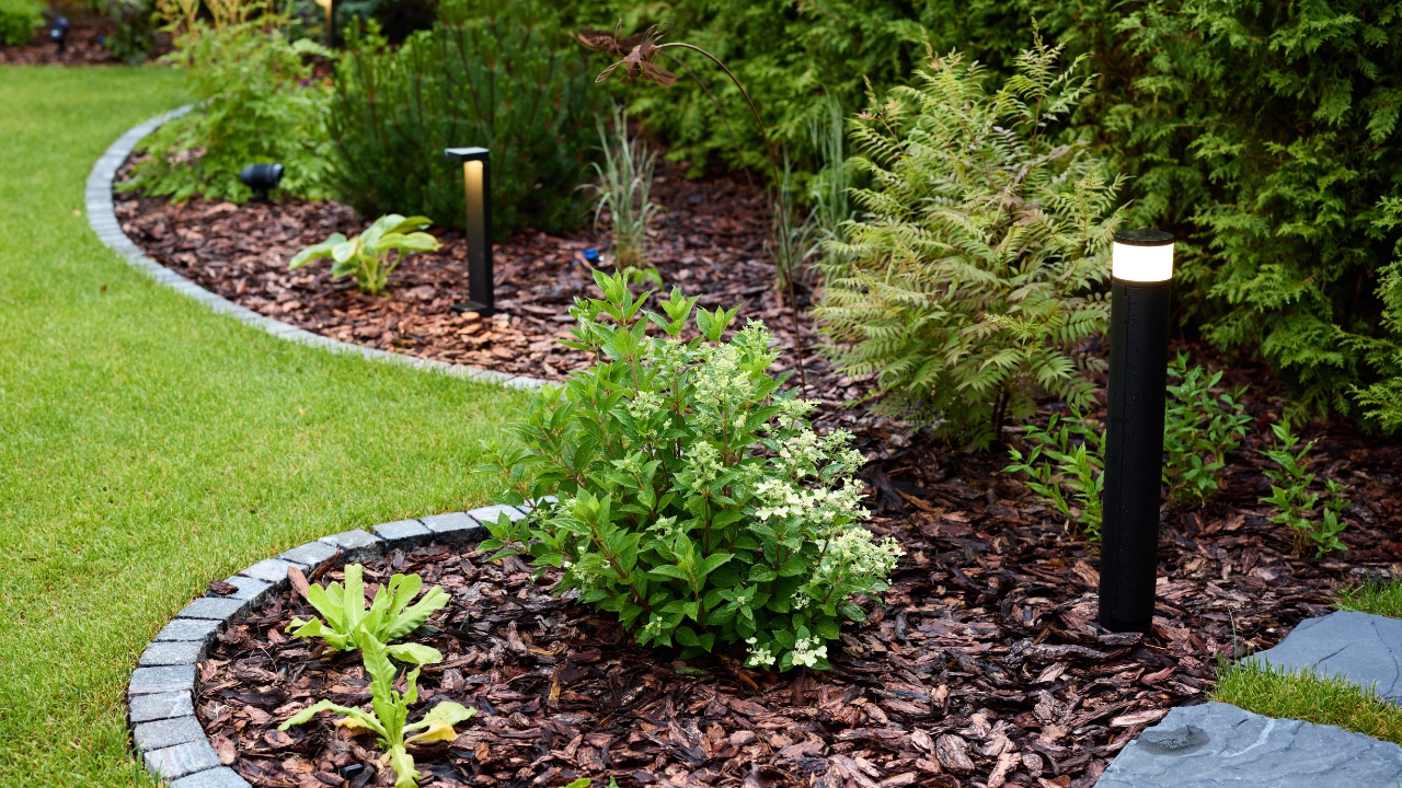 9 Details That Make a Yard Look Way More Cared For
