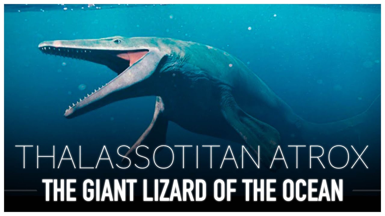 This GIANT Prehistoric Sea Lizard Dominated The Oceans