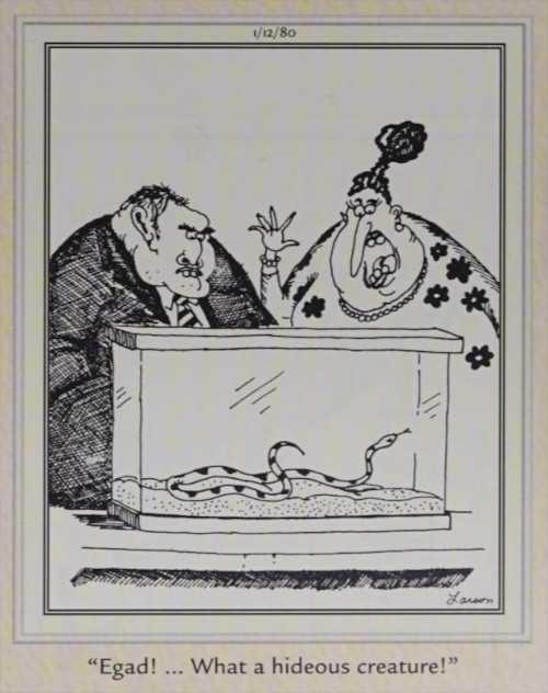 The First 10 Far Side Comics Gary Larson Ever Drew