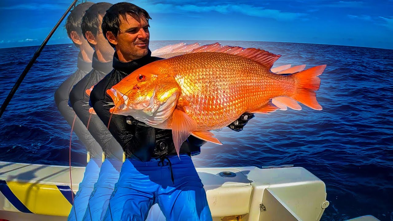 Commercial snapper fishing and spearfishing day