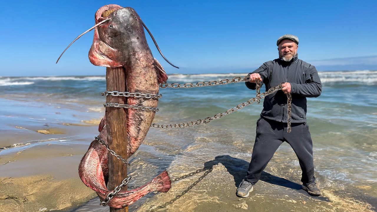 Cooking a Giant Naqqa – Predator Fish Over Fire