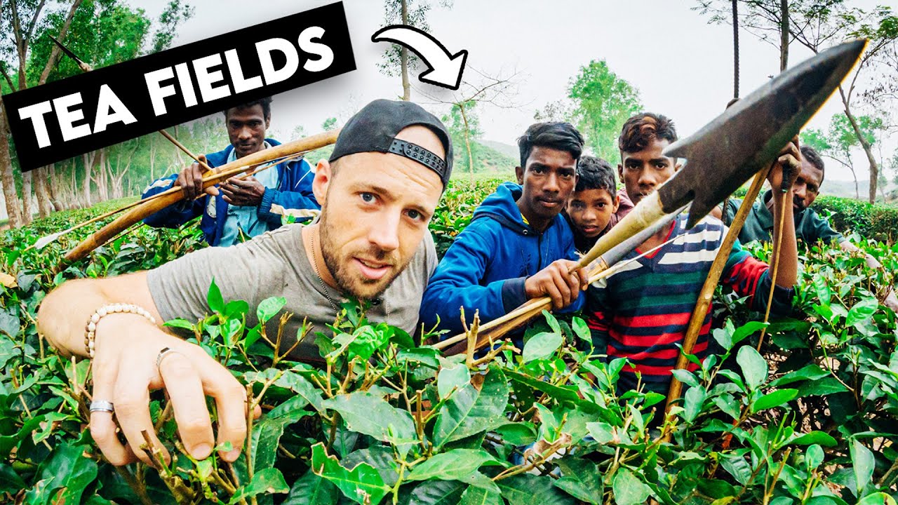 How does the Santal tribe hunt in Bangladesh?