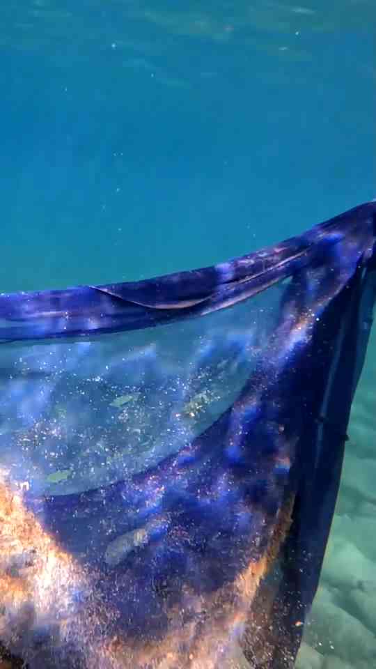 Say No to Plastic! – Shangerdanger’s Eco-Friendly Mission