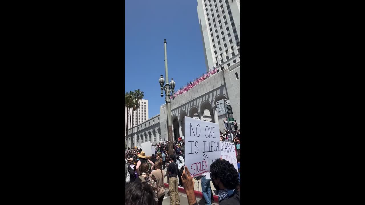 Liberals protest in LA amid left-wing anger at crime crackdown