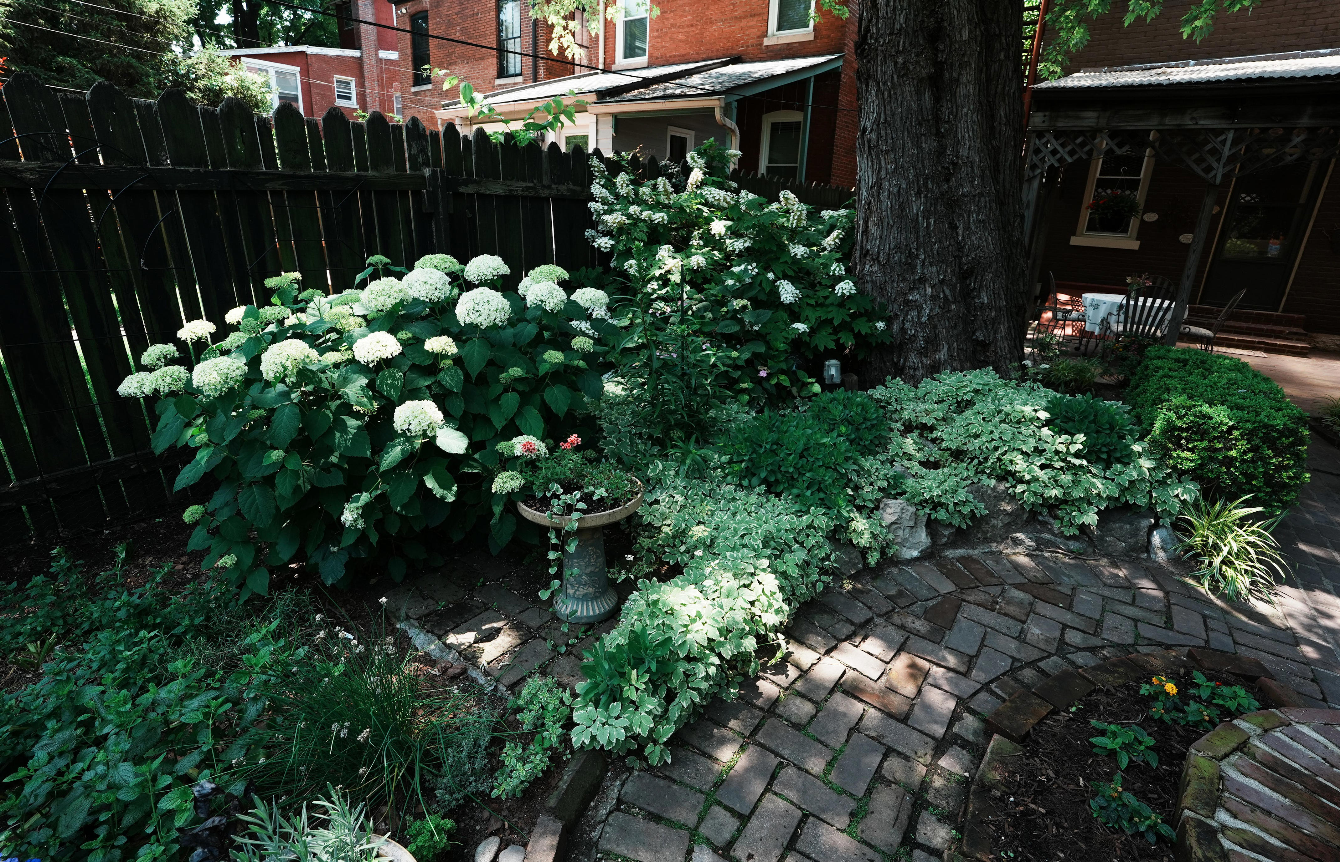 Old Louisville Victorian home features eclectic garden, mix of native ...