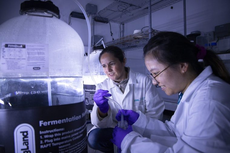 I’m an oceanographer – by 2030, salmon will be a luxury